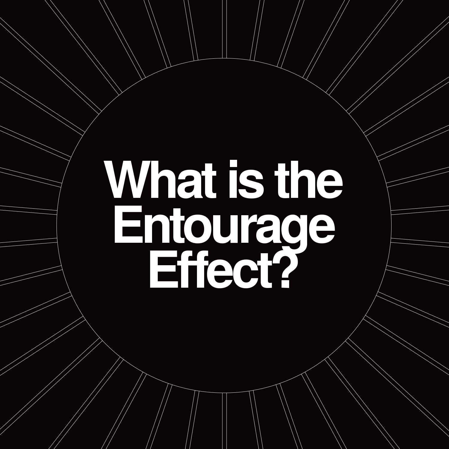 What is the Entourage Effect? | Puffco