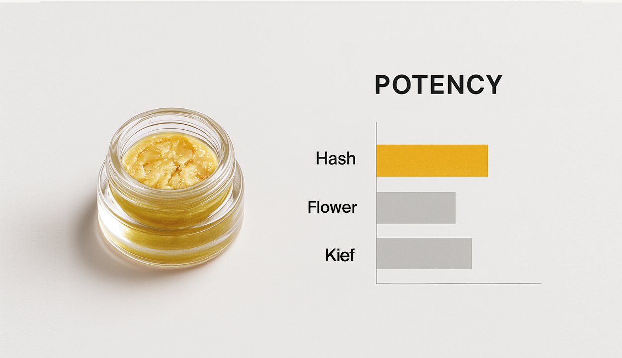 How Strong is Hash? Hash vs Weed | Puffco
