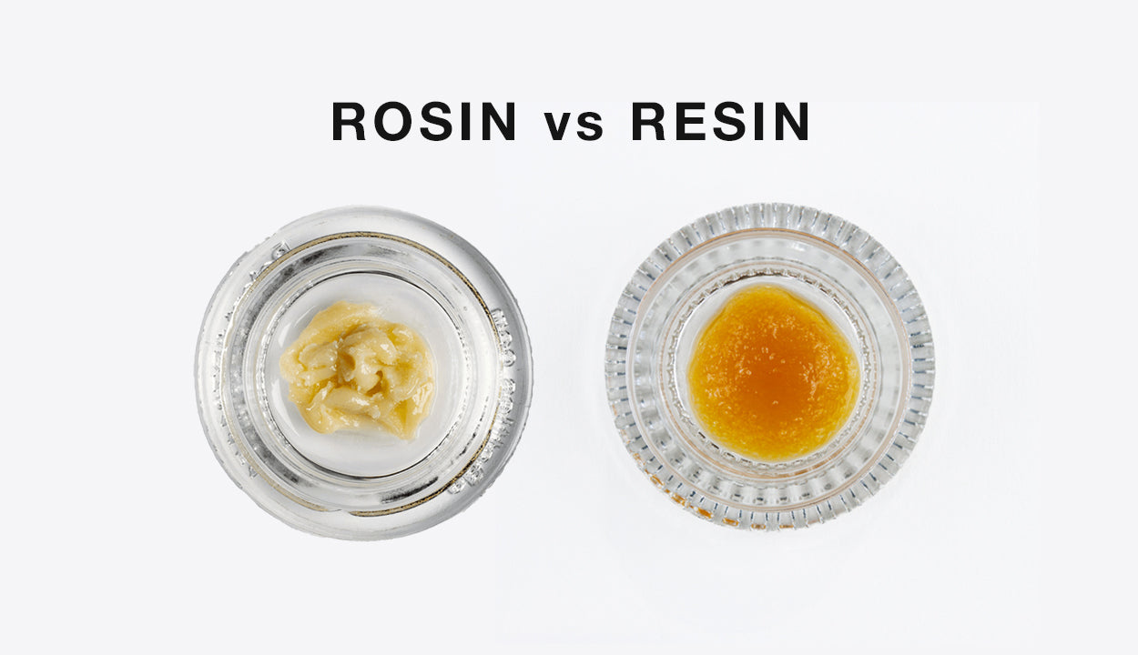 Rosin vs Resin: Full Comparison Guide | Puffco